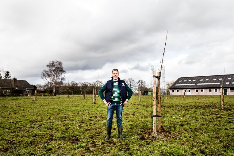 De bomen keren terug in de landbouw: ‘De voordelen zijn evident’ | De ...