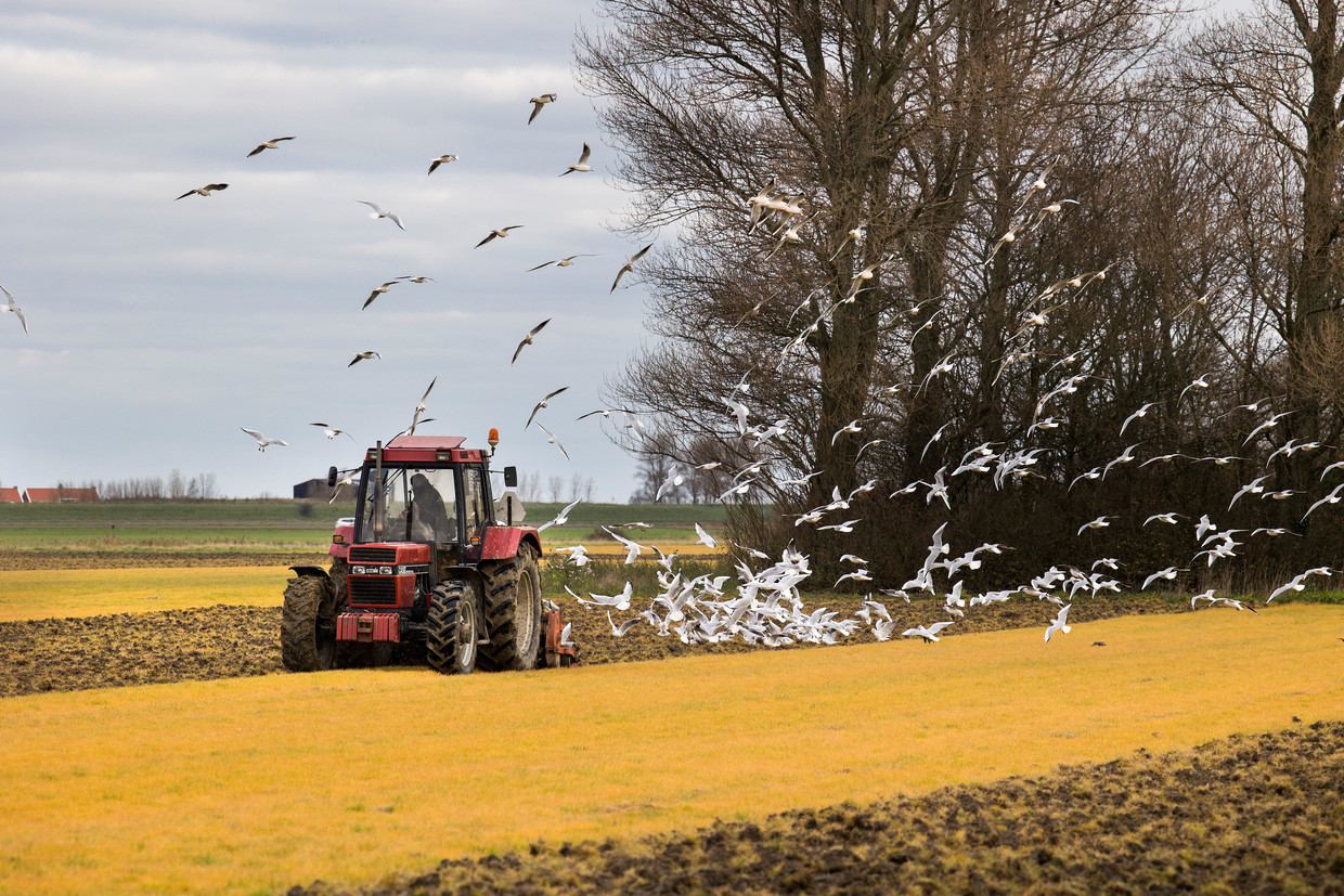 Boeren doen hun grond amper uit zichzelf van de hand | De Volkskrant