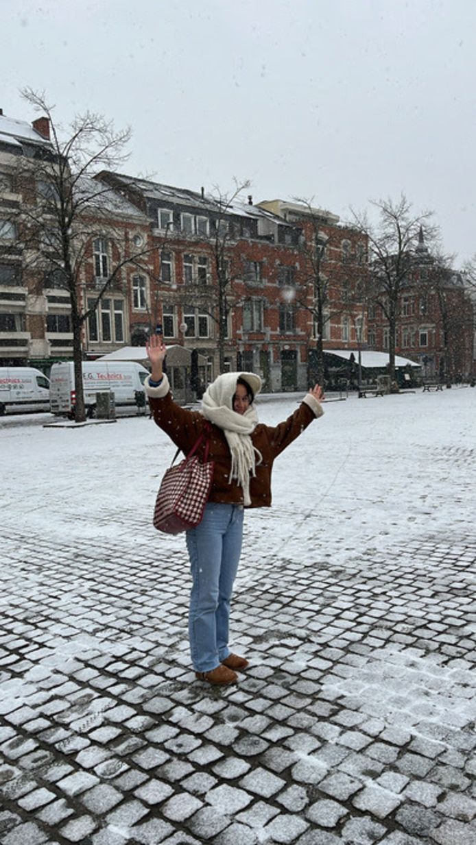 Leuven bedekt onder laagje sneeuw | Leuven | hln.be