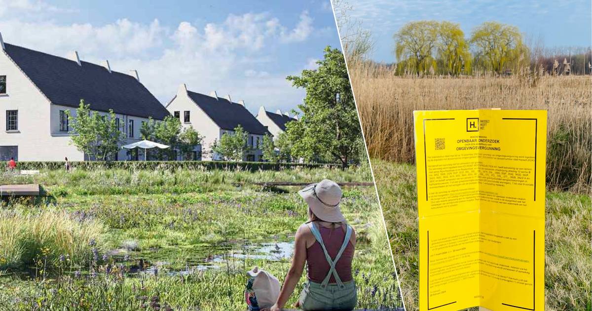 Kuringen-Heide krijgt 253 nieuwe woningen, project ‘Wijer Park’ in 2025 ...