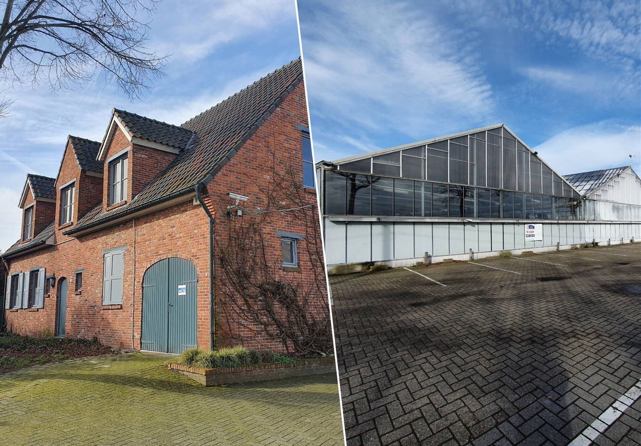 Voormalig tuincentrum Pelckmans te koop voor 1,75 miljoen euro: “Ideaal ...