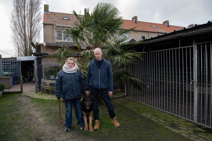 Tamara en Michael lijken toch een ander plekje gevonden te hebben in ...