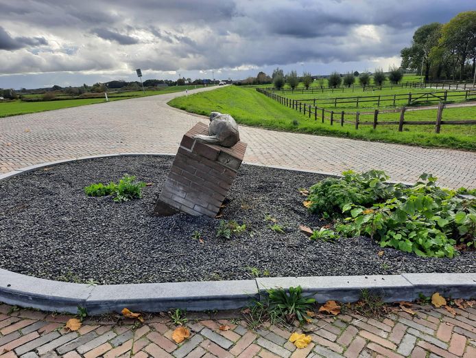 ‘De laatste bever van Nederland’ is terug in Zalk: dit is zijn verhaal ...