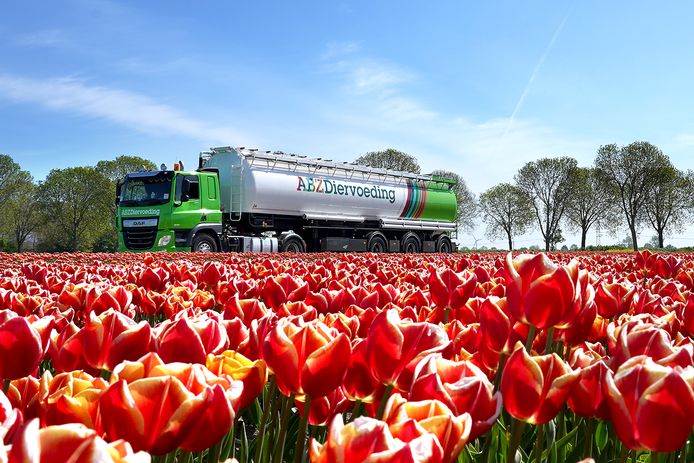 ABZ Diervoeding investeert miljoenen in Eindhovense fabriek | Eindhoven ...