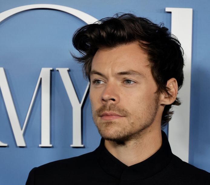 Harry Styles lanceert nieuwe Gucci-collectie: prijskaartje van 170 euro ...