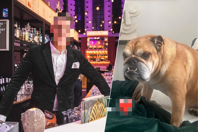 Condamné Pour Viol Il Colle Son Bracelet électronique à Son Chien Et S