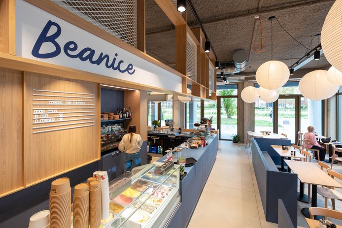 NET OPEN. Kaatje (25) ruilt trailer in voor bistro Beanice: “Het was ...