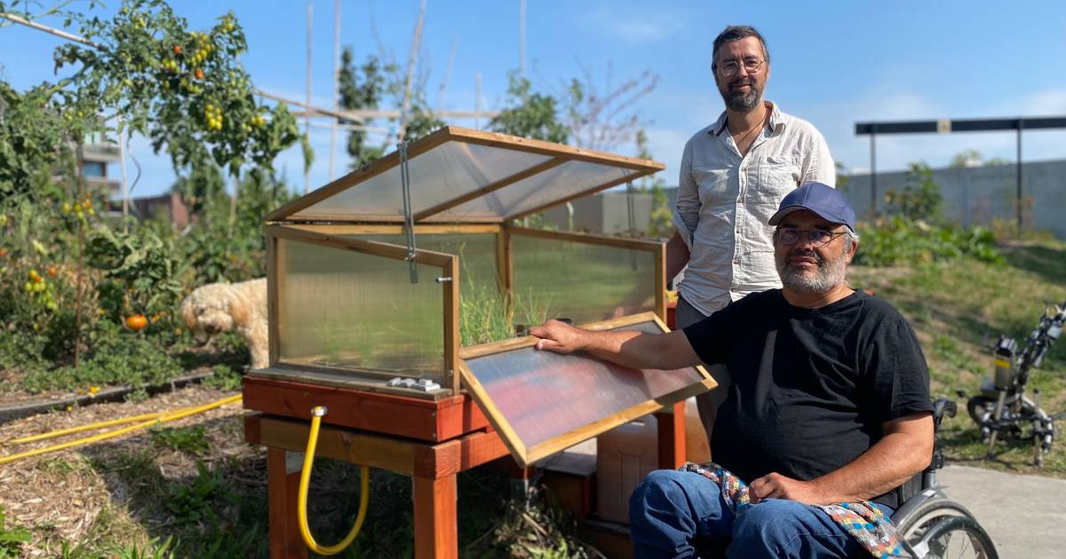 Buurtbewoners maken gedeelde moestuin toegankelijk voor ...
