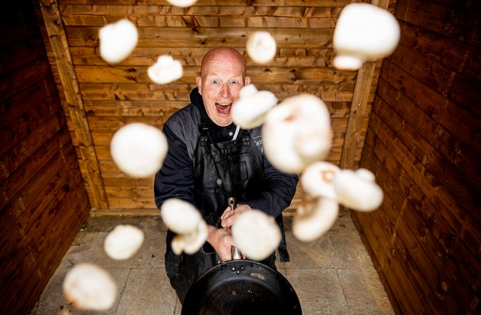 Het is zomer, maar de herfst ligt al op ons bord: ‘Onder 24 graden ...