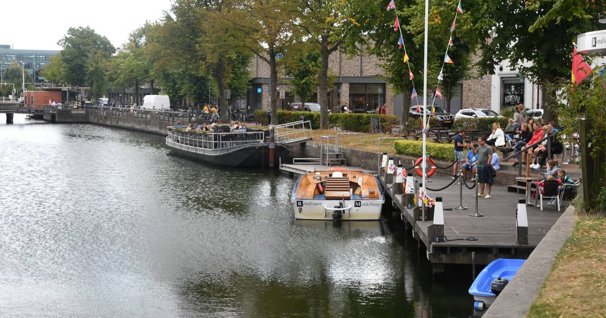 Dode palingen en krabbetjes die naar adem happen: gebrek aan zuurstof ...