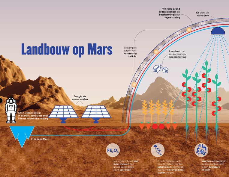"Leven op Mars wordt niet erg romantisch" | De Morgen