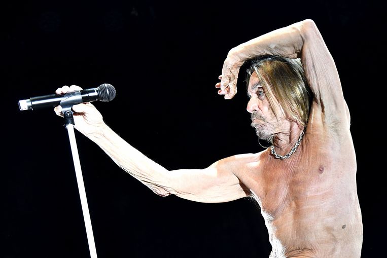 ‘Geil en kwaad blijven, dat is mijn geheim’: Iggy Pop, de punkrocker ...