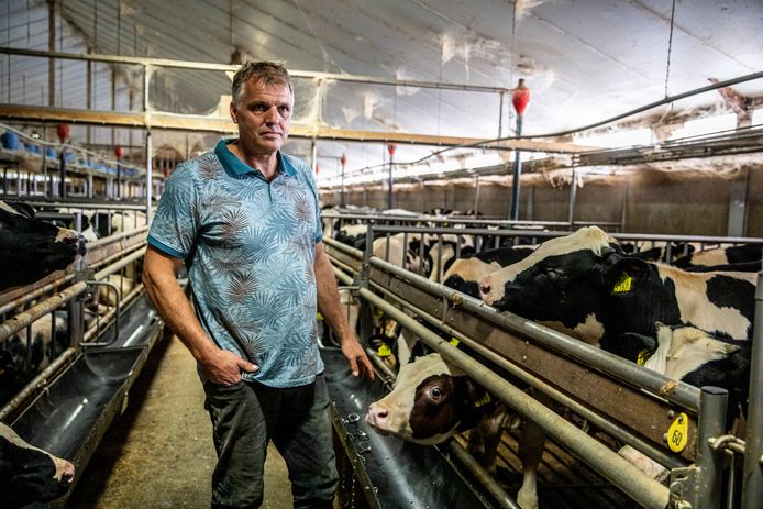 Pionierende boeren lopen vast: ‘Het valt niet mee om de moed erin te ...