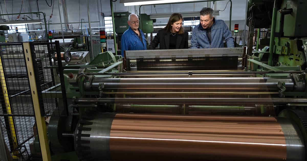 Broer, neef, vader of zoon; je komt ze vanzelf tegen bij koninklijke ...