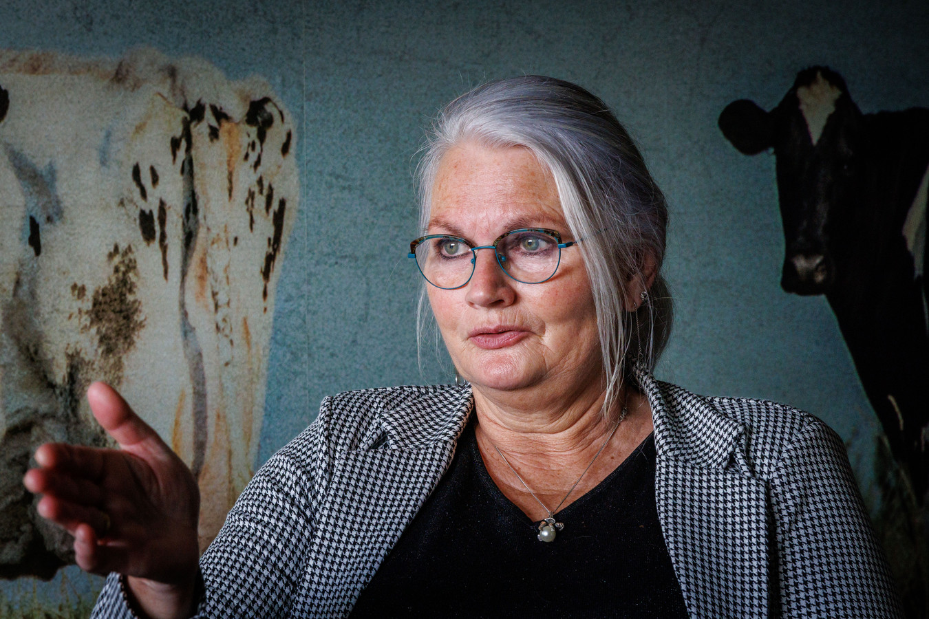 ‘Nog wel gaan stemmen, hè’, roept wethouder Tiny Bijl uit Giethoorn ...