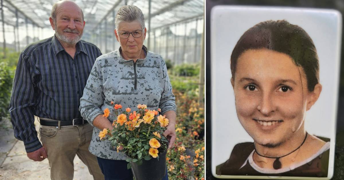 Rozenkwekers herdenken overleden dochter met eigen roos: “Hopelijk ...
