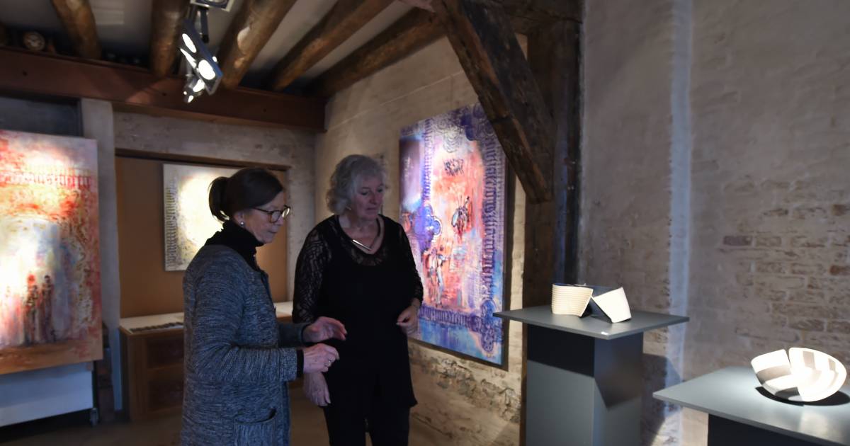 Toos van Holstein in halve finale Kunstenaar van het Jaar | Zeeuws ...