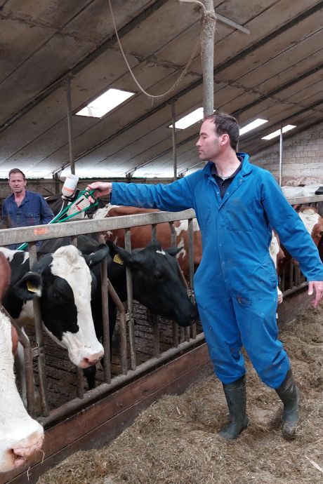 Ouder-Amstel | AD.nl