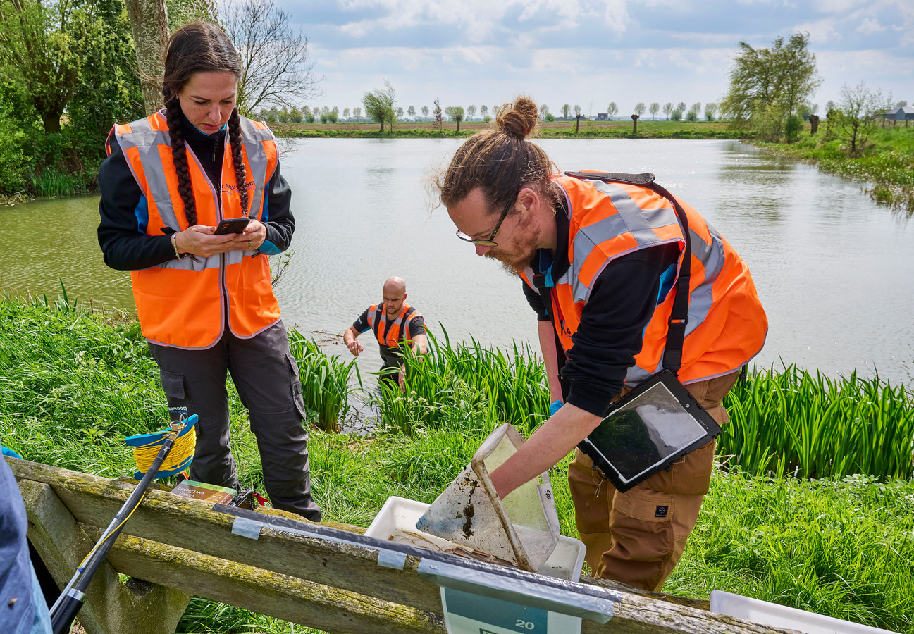 Vlokreeft, zoetwatergarnaal en platworm: wat beestjes kunnen vertellen ...