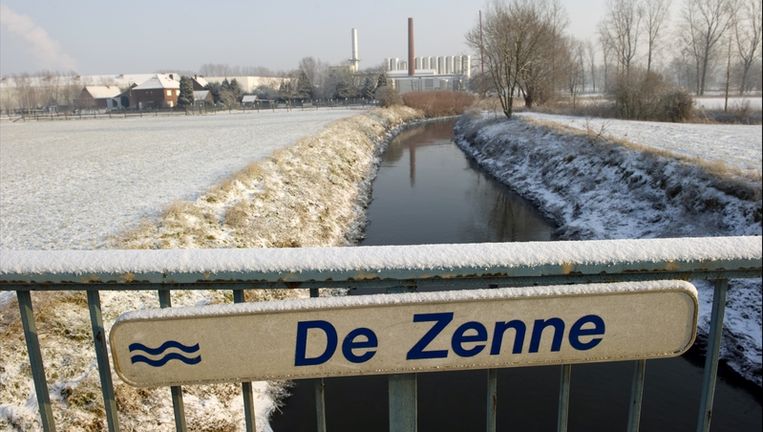 Vissen duiken opnieuw op in de Zenne | De Morgen