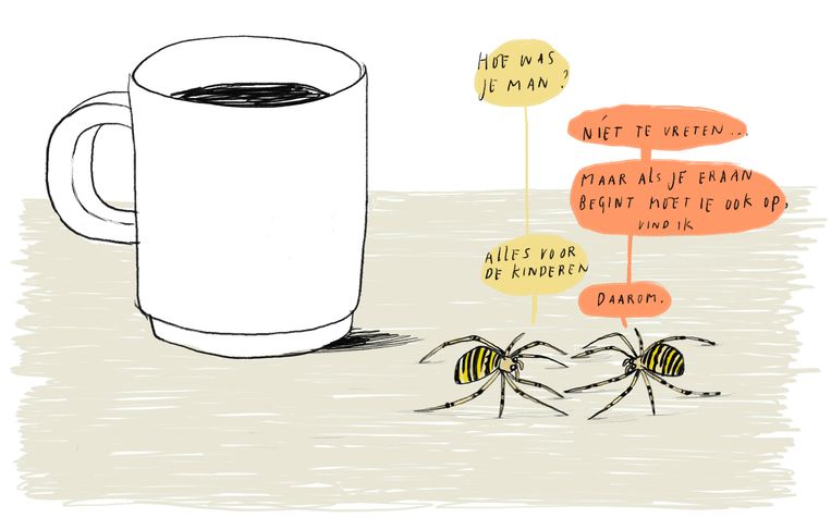 Weekdier | De Volkskrant