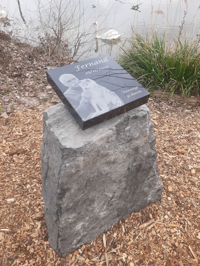 Buren en stad Leuven herdenken Fernand Thomas (68) aan Vijvers van ...