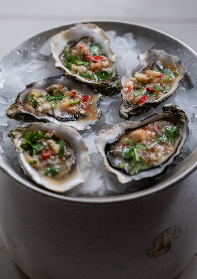 Hoe open je oesters correct? Waar kan je de beste eten en kopen? Lees ...