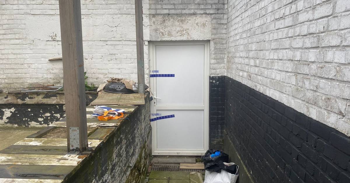 Raul (9) doodgeslagen en gedumpt in Houtdok in Gent: moeder aangehouden ...