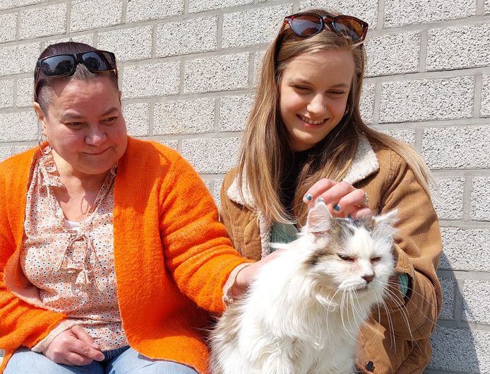 Leo, een oude kater met kattenaids, vindt ‘gouden mandje’ bij mama ...