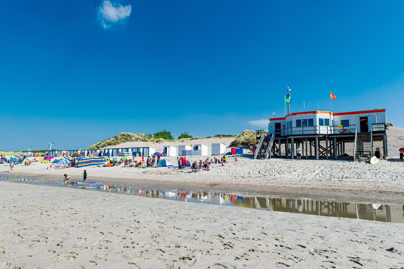 Badgasten vinden een kaak op het Banjaardstrand bij Kamperland | Foto ...
