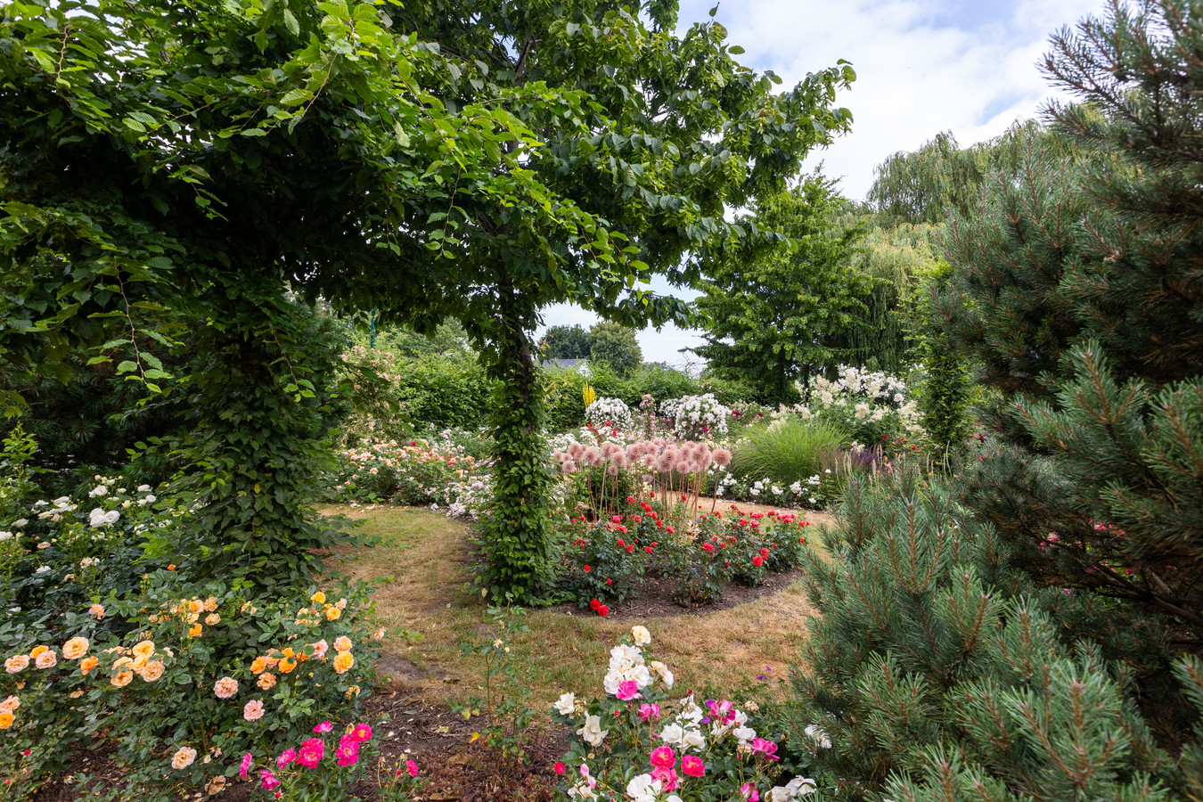 Rozentuin van Luc hoort bij allermooiste van Europa en is nu gratis te ...