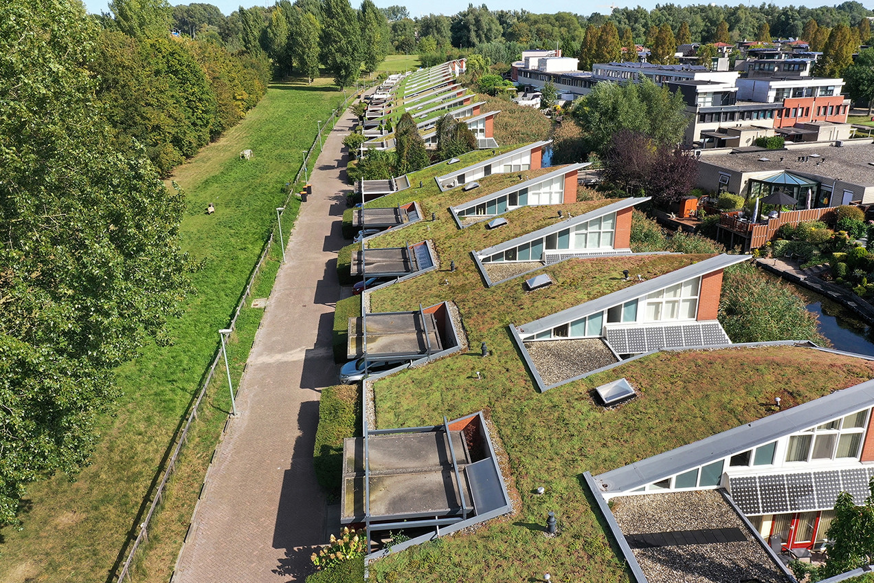 Waarom zijn nog lang niet alle daken groen? ‘Als iedereen dit doet ...