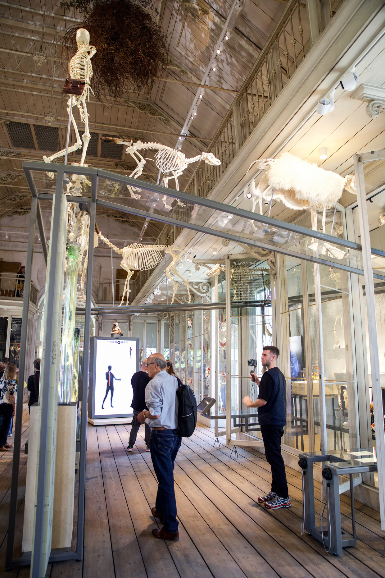 Van een geurtunnel tot een pratende bloem: in het nieuwe Groote Museum ...
