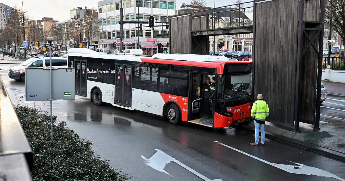Stadsbus botst tegen pilaar van kunstwerk De Duikplank in Tilburg ...