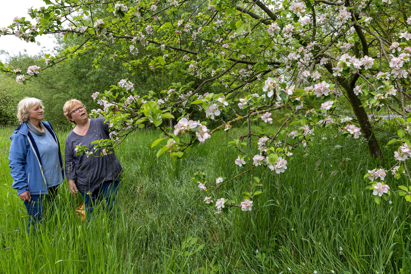 Een smakelijk hapje voor dier en vooruit ook de mens in het nieuwe ...