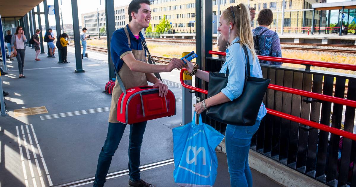 Meer treinen naar station Leidsche Rijn, aanbod in Vleuten en Terwijde ...