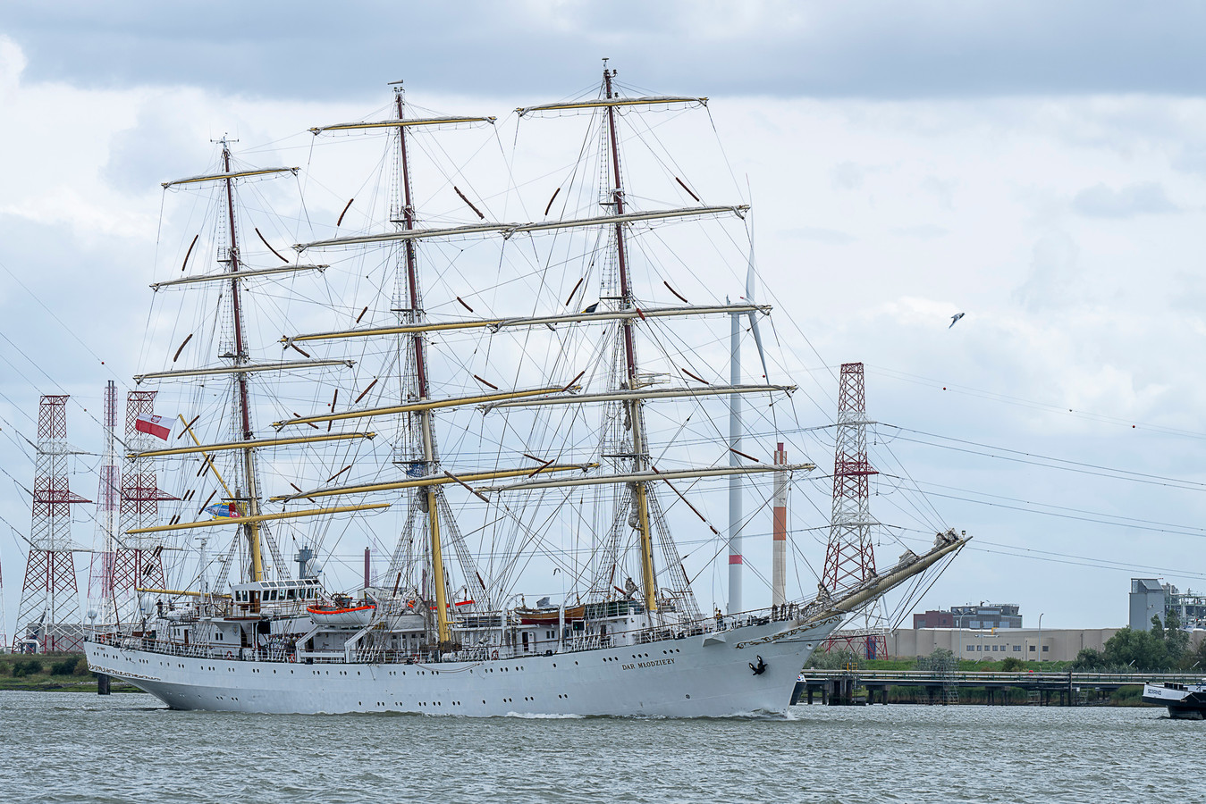Meer dan twee miljoen dagtoeristen laten Antwerpse zomer schitteren ...