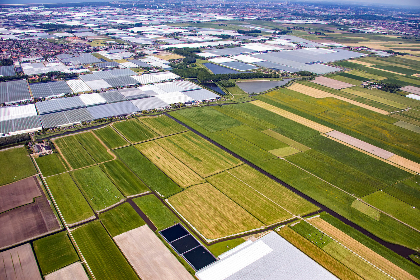 Actiegroep voor afscheiding van De Lier gaat door: ‘Actie heeft heel ...