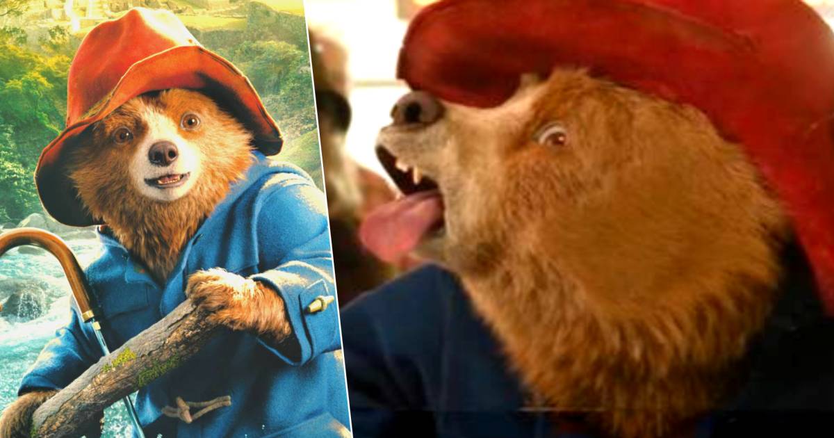 KIJK. ‘Paddington’ keert terug naar zijn roots in Peru: ontdek hier de ...