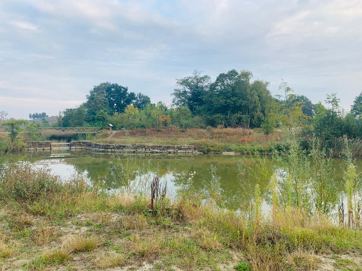 Meerhoven krijgt met Mrs. Park een gemoedelijke plek aan het water ...