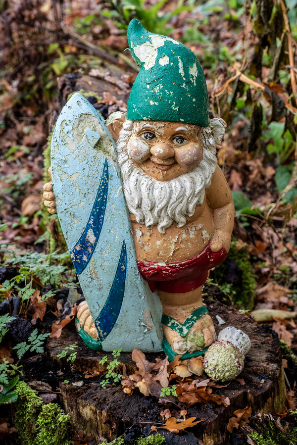 Voor John en Irma begon het met een kabouter met een surfplank ...