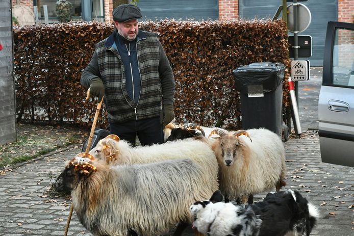 Geluwe 2.0 maakt op succesvolle kerstmarkt winnaar van het logo bekend ...