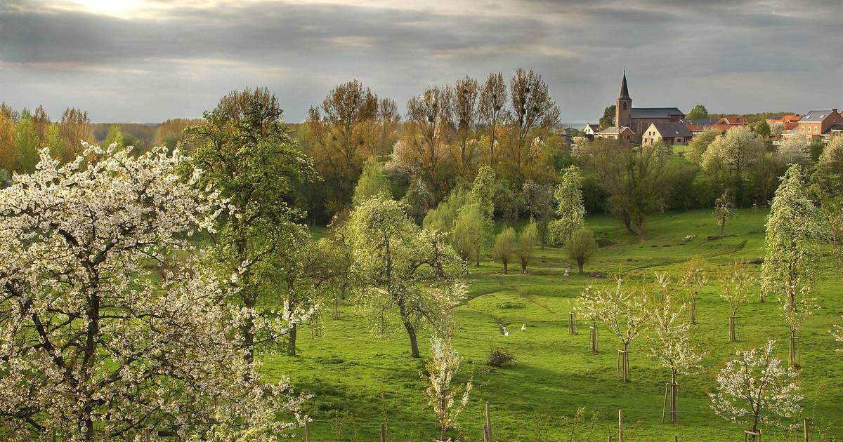Proevertjestocht laat fietsers genieten van Loons landschap met een ...