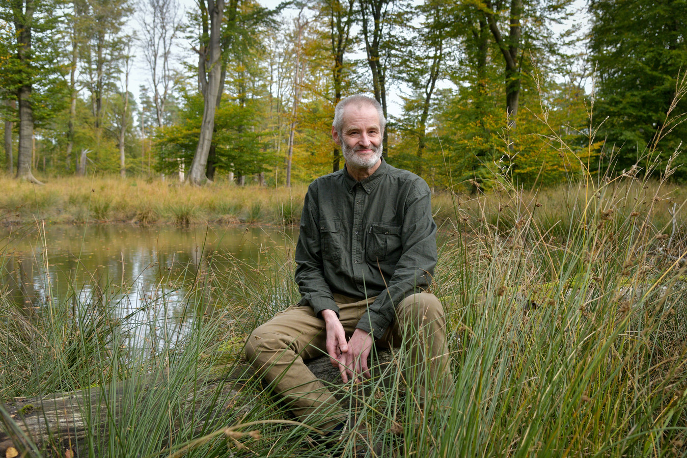 Indian summer op de Veluwe zorgt voor ongekende kleurenpracht: ‘Wat is ...