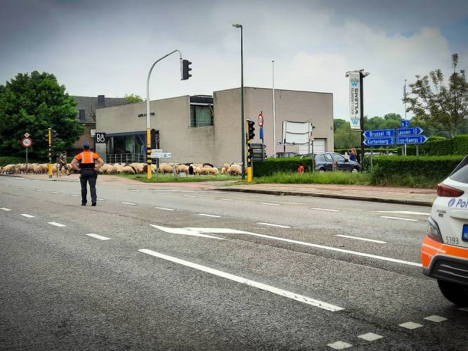 Directeur Johan neemt na 41 jaar afscheid van De Regenboog: “Toen ik ...