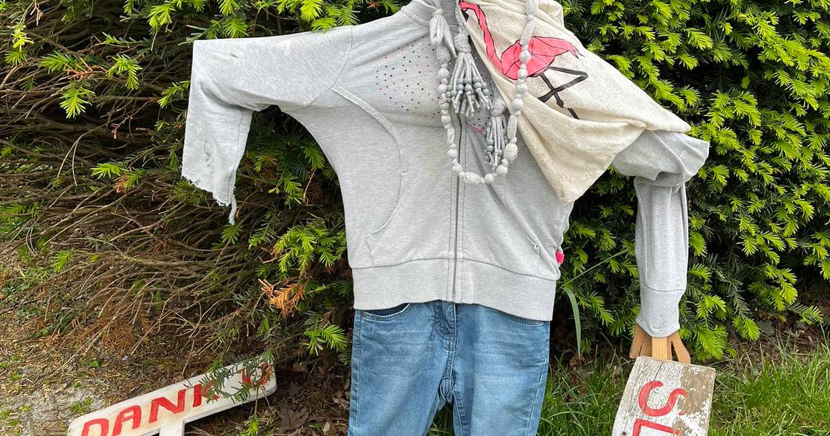Vandalen vernielen zelfgemaakt Graag Traag-mannetje van Lauranne (9) en ...