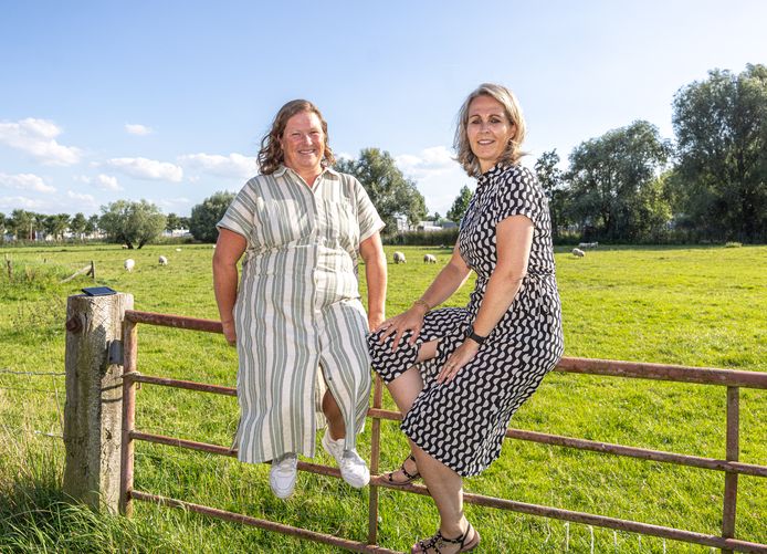 Obstakel na obstakel, maar Westenholte viert komende weken gewoon feest ...