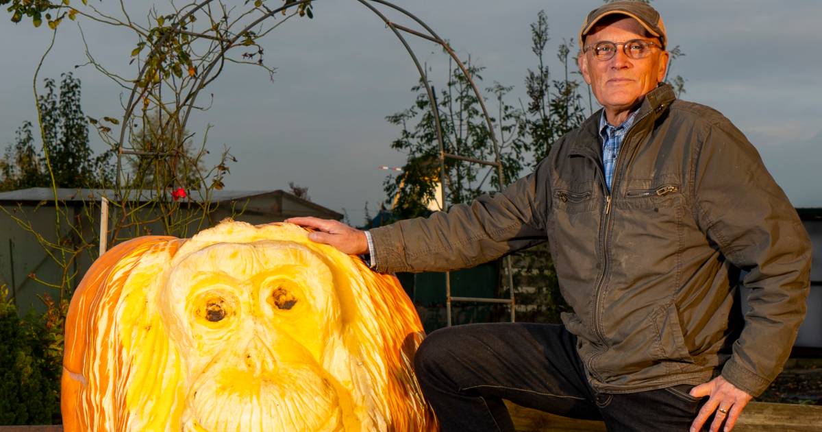 Jan (70) maakte een apenkop van een grote pompoen: ‘Mensen stoppen om ...