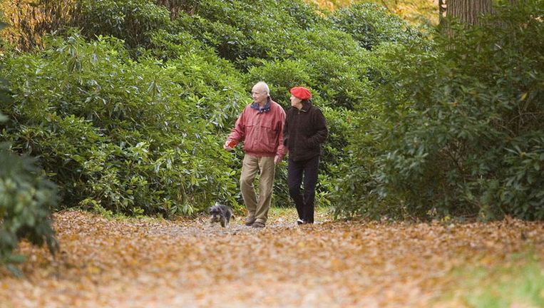 Ten slotte: Ferdi E. (1942-2009) | Het Parool