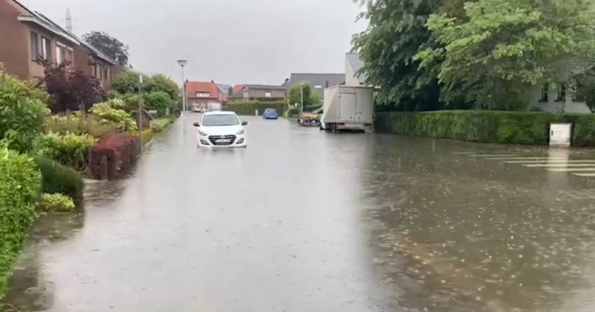 Brandweer Rivierenland kreeg al meer dan 100 oproepen voor ...
